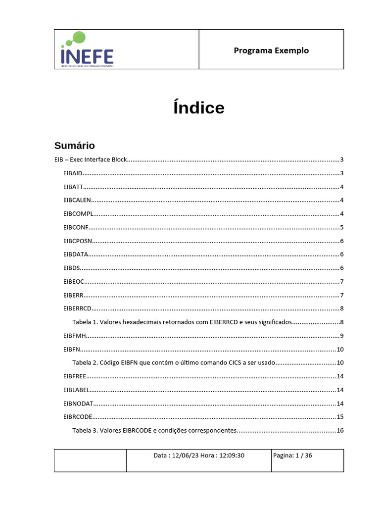 Campos do EXEC Interface Block (EIB) | PDF | C ++ | Dados