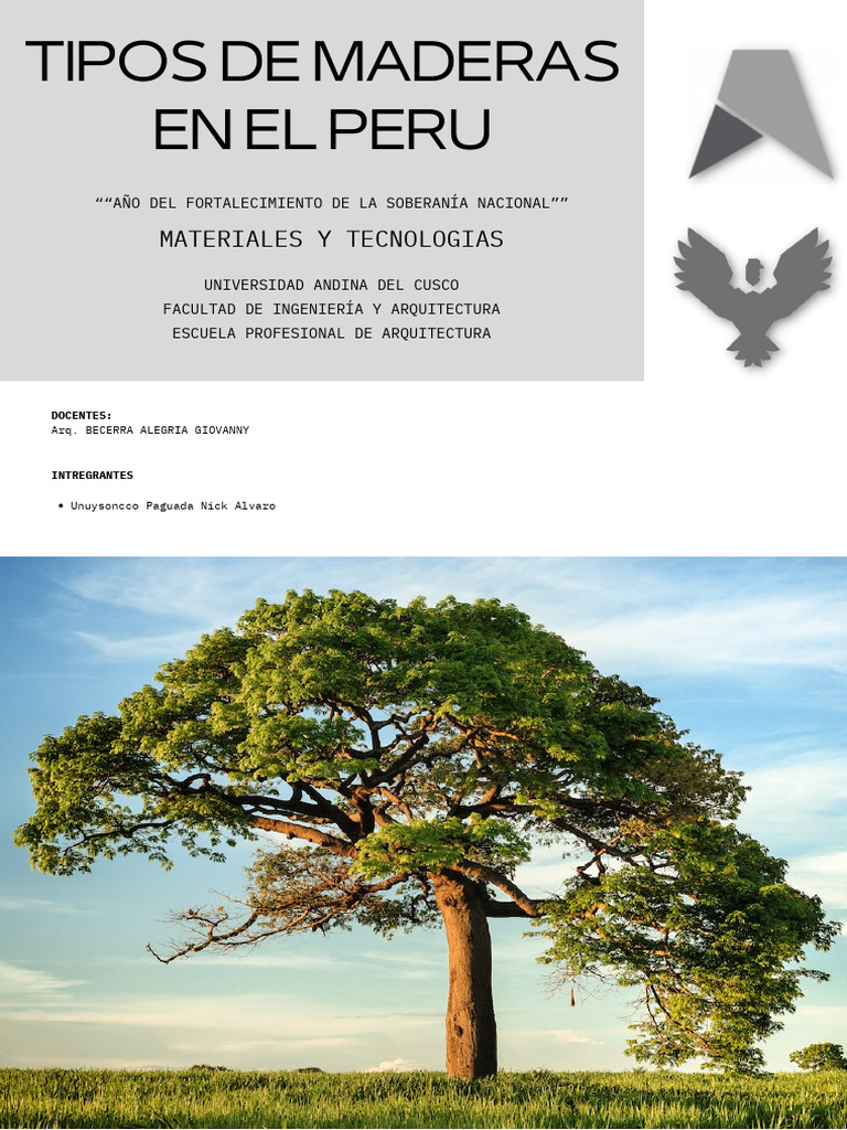 Tipos de Maderas en El Peru | PDF | Madera | Arboles