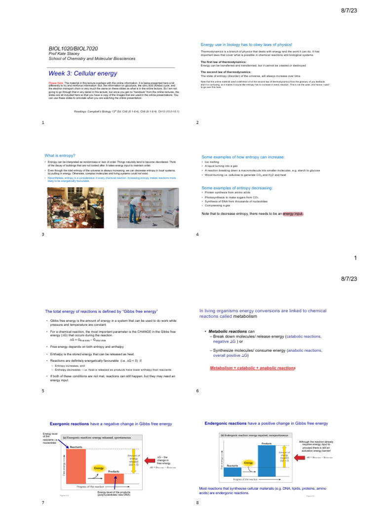 Week 3 L | PDF | Metabolism | Chemical Reactions