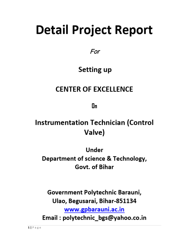 Detail Project Report: Setting Up Center of Excellence | PDF ...