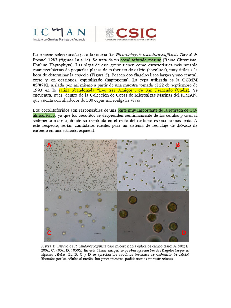 Informe Cansat Picassat Icman-csic | PDF | Desviación Estándar | Densidad
