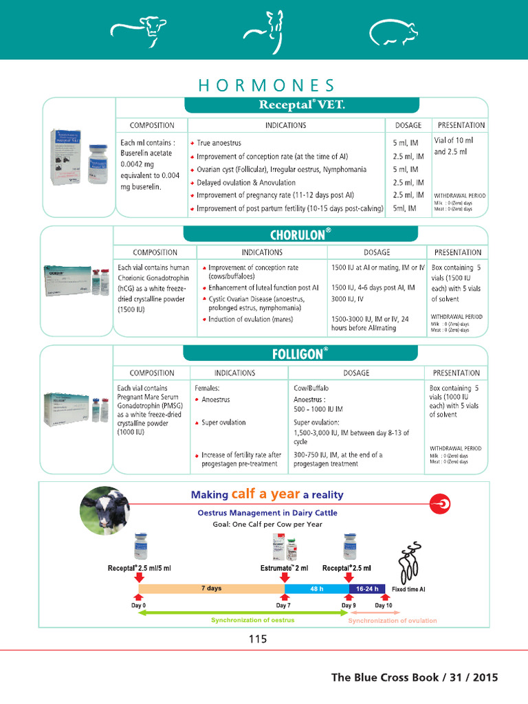 MSD Veterinary Products Overview | PDF