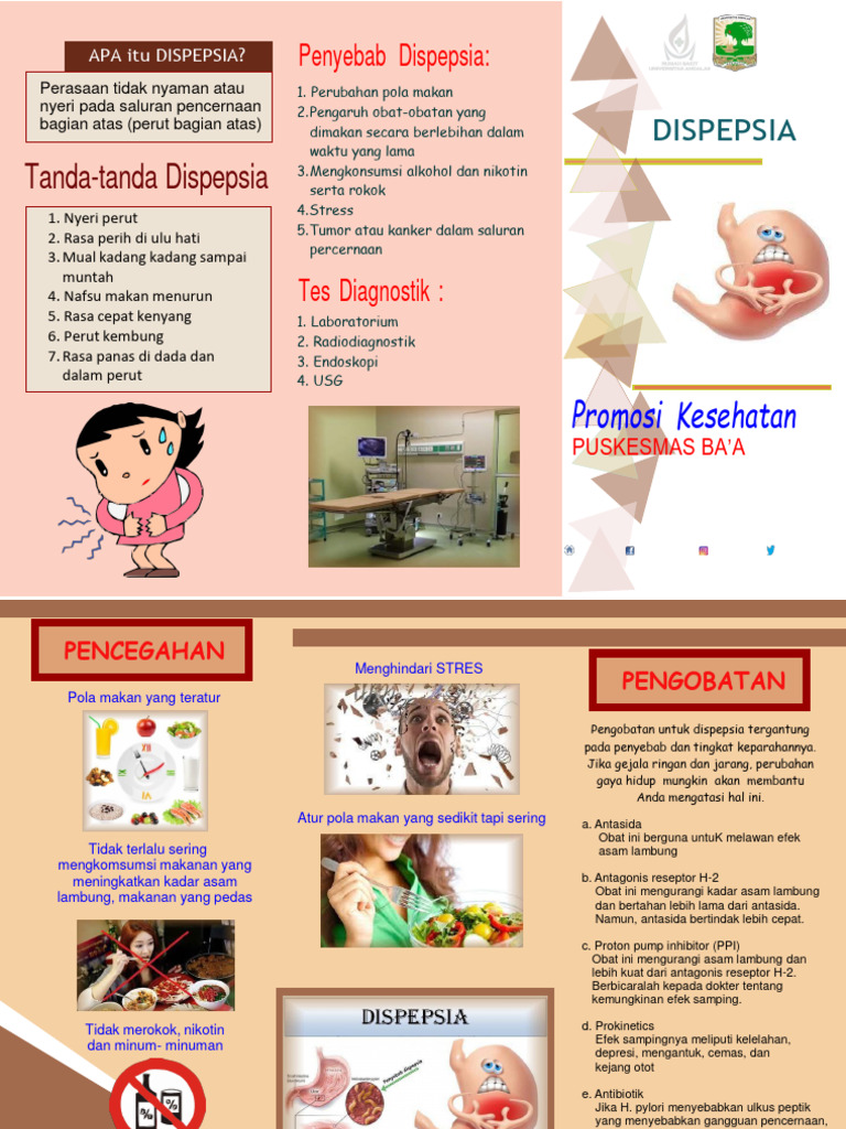 Liflet Dispepsia | PDF