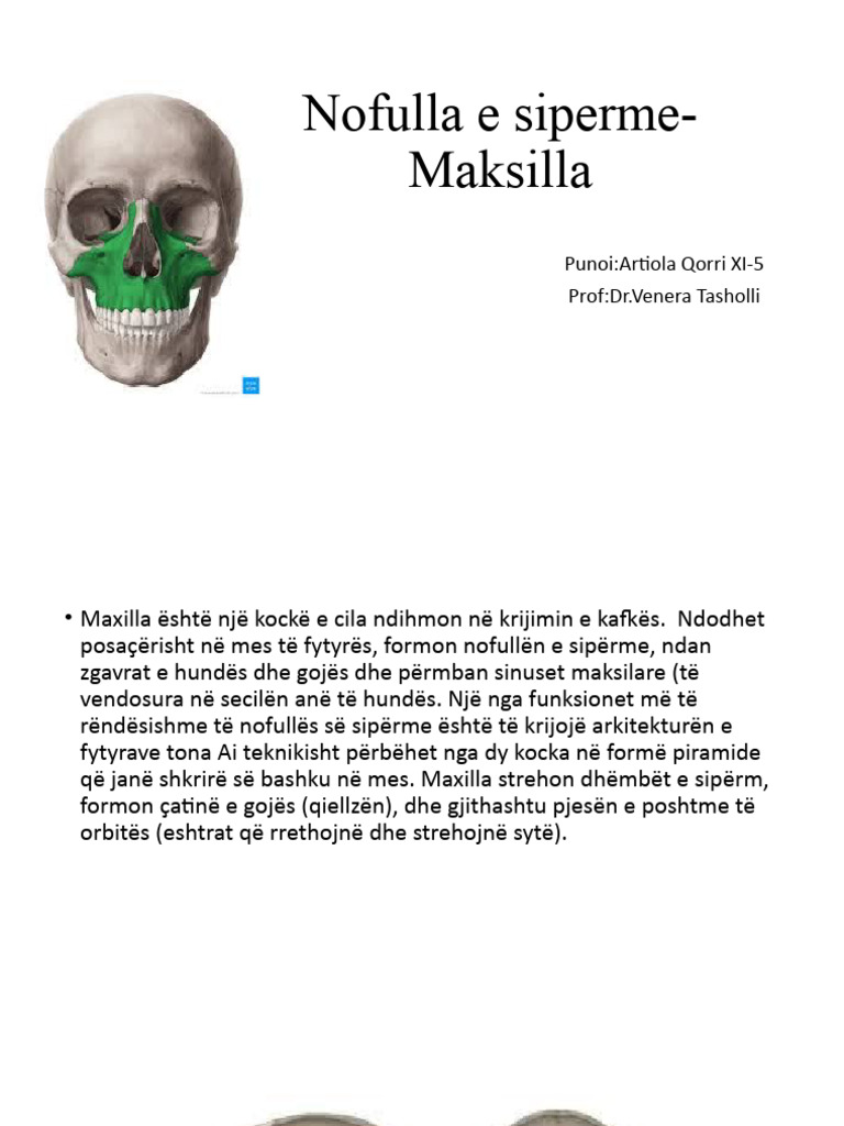Nofulla e Siperme-Maksilla: Punoi:Artiola Qorri XI-5 Prof:Dr - Venera ...