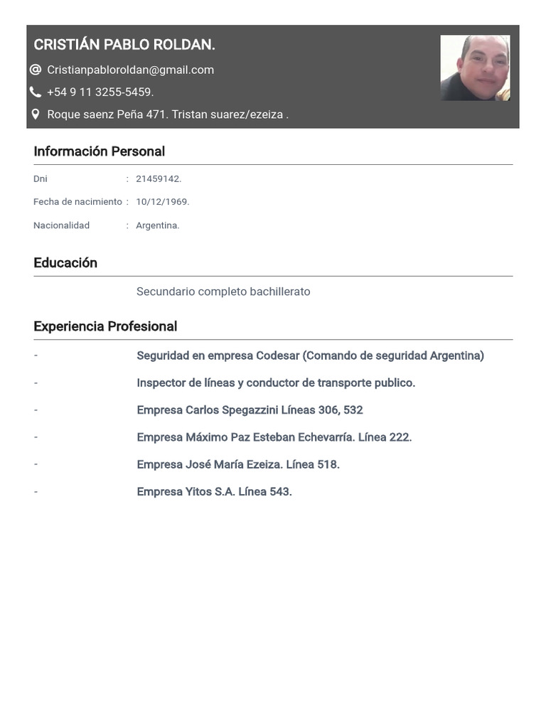 CV Cristian Pablo | PDF