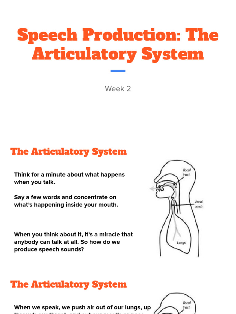 Speech Sounds for Educators | PDF | Otorhinolaryngology | Linguistics