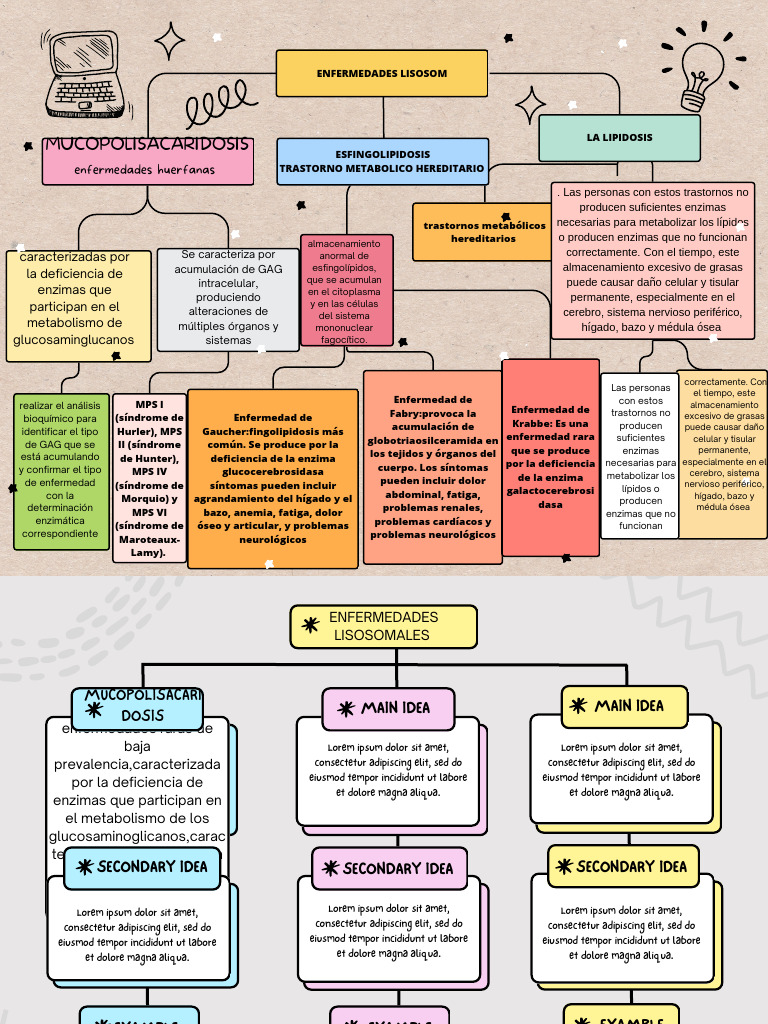 Colorful Playful Concept Map Graph | PDF | Lípido | Metabolismo