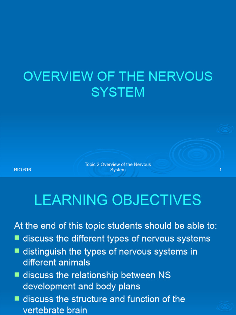 Topic 2 (Overview of NS March 2017) | PDF | Nervous System | Brain