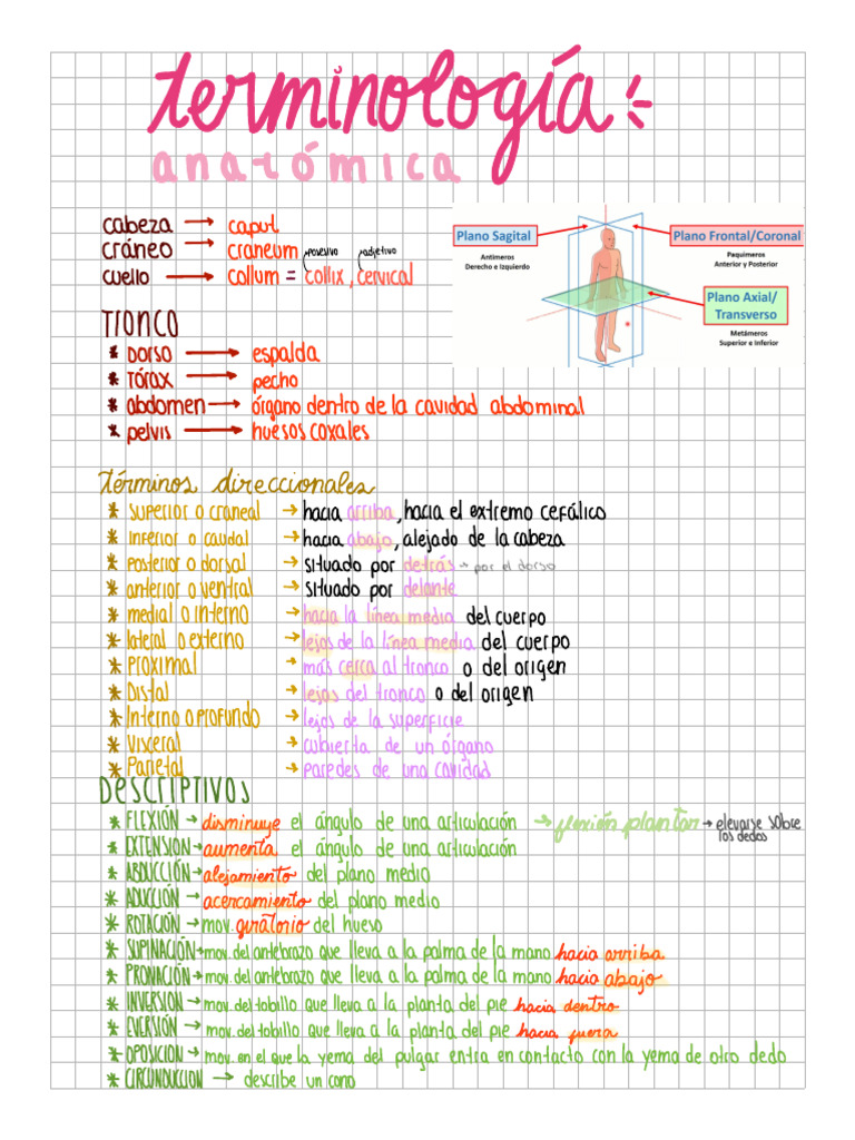 TERMINOLOGÍA ANATÓMICA | PDF