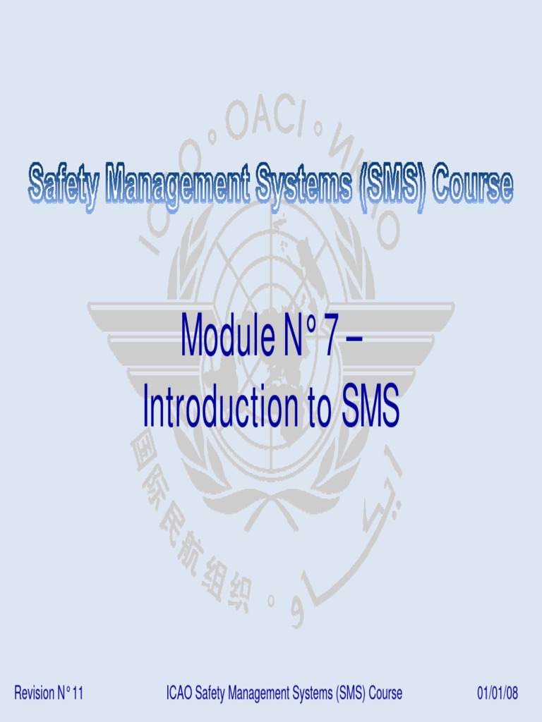Introduction to SMS in Aviation | PDF | System | Risk