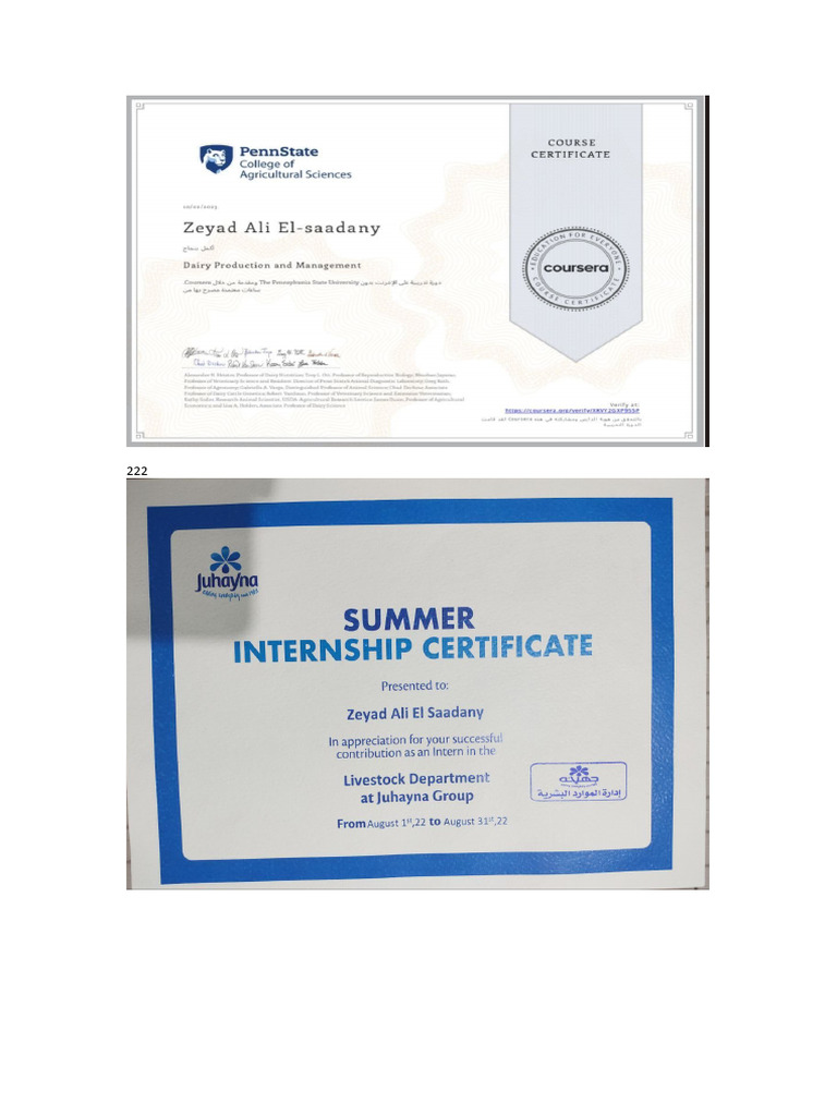 Zeyad Ali Elsaadany Cer | PDF