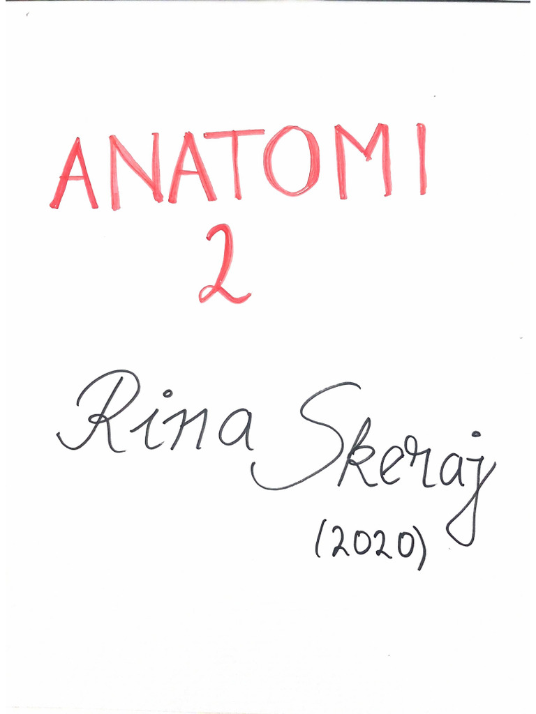 Anatomi 2 - SNQ | PDF