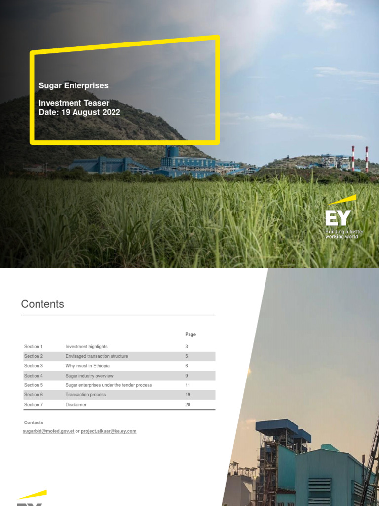 Investment Teaser | PDF | Sugarcane | Ethiopia