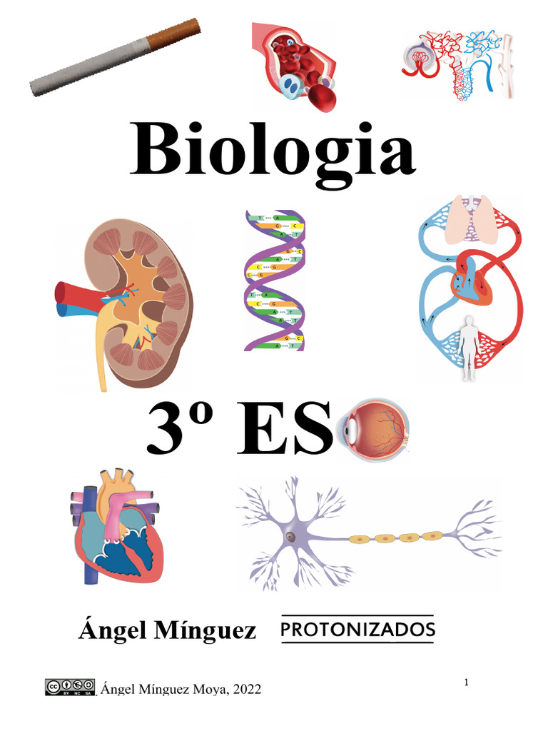 3r ESO Biologia. Protonizados | PDF