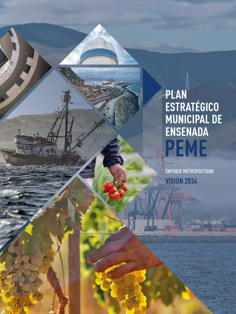 PEME Vision 2034 Web | PDF | Planificación estratégica | Planificación