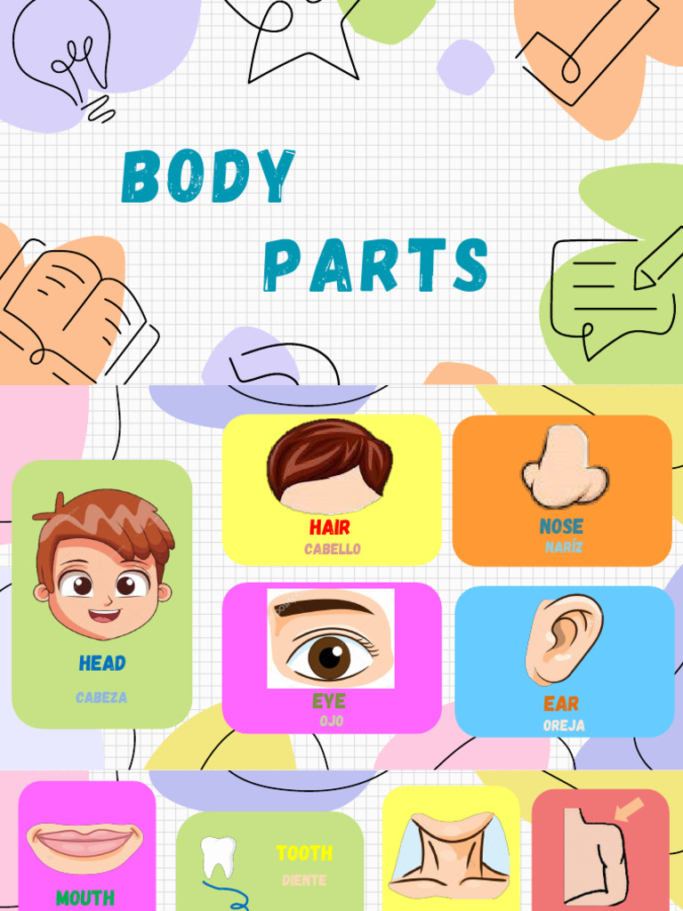 Body Parts | PDF