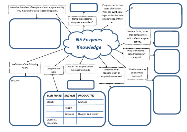 Enzymes Mind Map | PDF | Enzyme | Molecular Biophysics