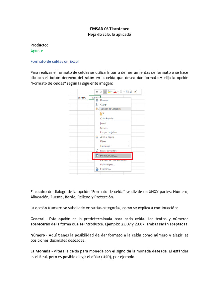 Formato de Celdas | PDF | Hoja de cálculo | Informática