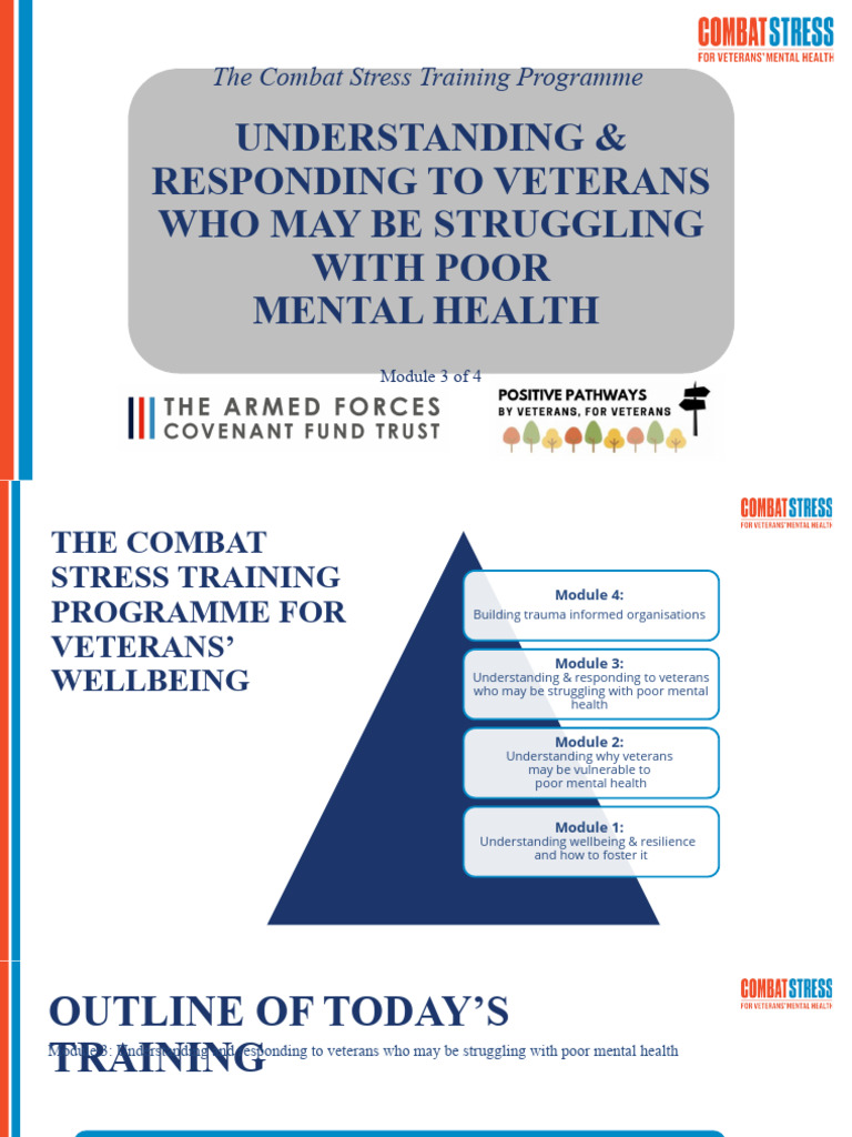 PPP Training Module 3 Download | PDF | Psychological Trauma | Mental ...