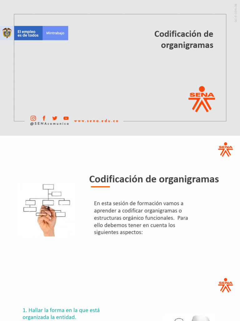 Codificación de Organigramas | PDF | Business