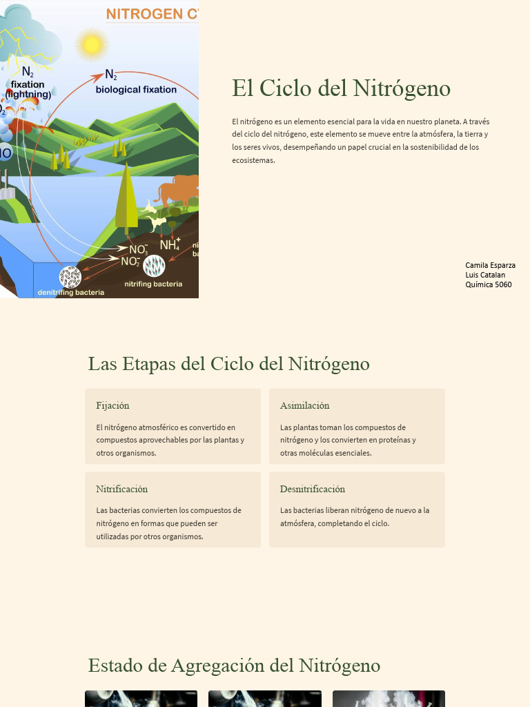 El Ciclo Del Nitrogeno | PDF | Nitrógeno | Gases