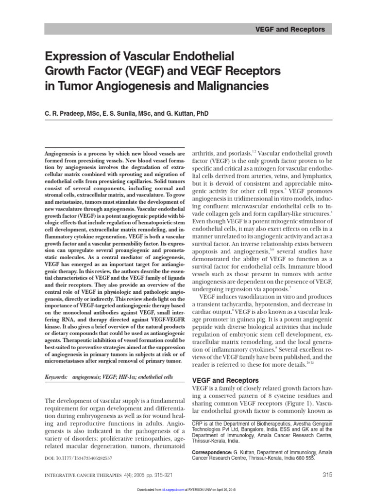 VEGF and Angiogénesis | PDF | Angiogenesis | Vascular Endothelial ...