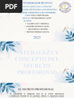 El Secreto Profesional en Enfermeria | PDF