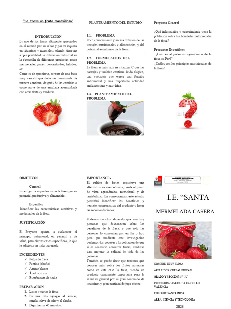 Fresa Triptico Finalizado | PDF | Nutrición | Dieta y nutrición