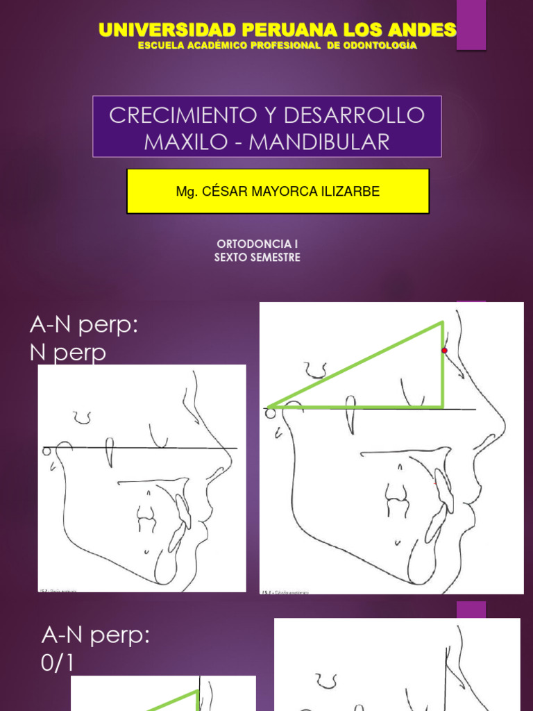 Crecimiento Maxilo-Mandibular | PDF | Cabeza y cuello humanos | Sistema ...