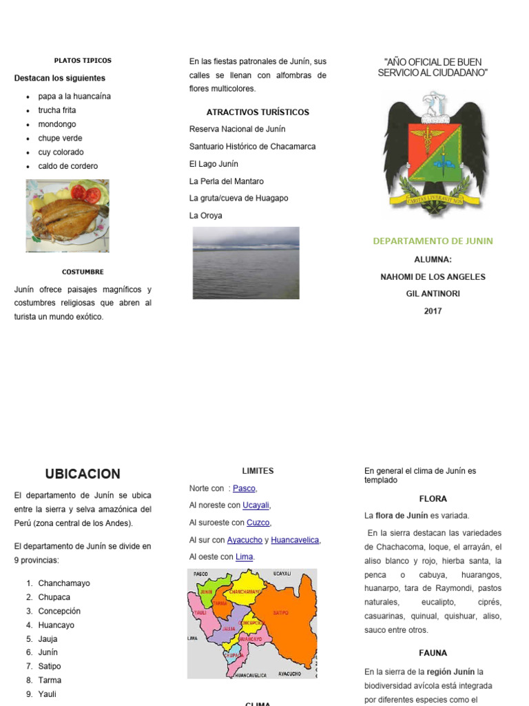 Triptico Junin 34 | PDF