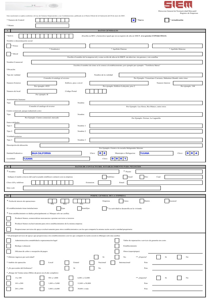Formato Siem Nvo 2023 (1) | PDF | Salario | Business