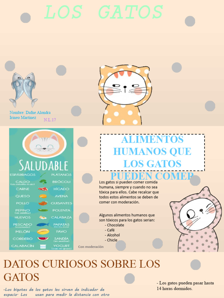Información Sobre Los Gatos | PDF | Gatos | Felinos