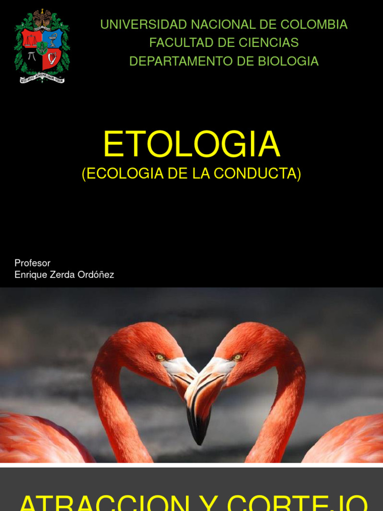 Cortejo en Biología Animal | PDF | Cortejo | Hembra