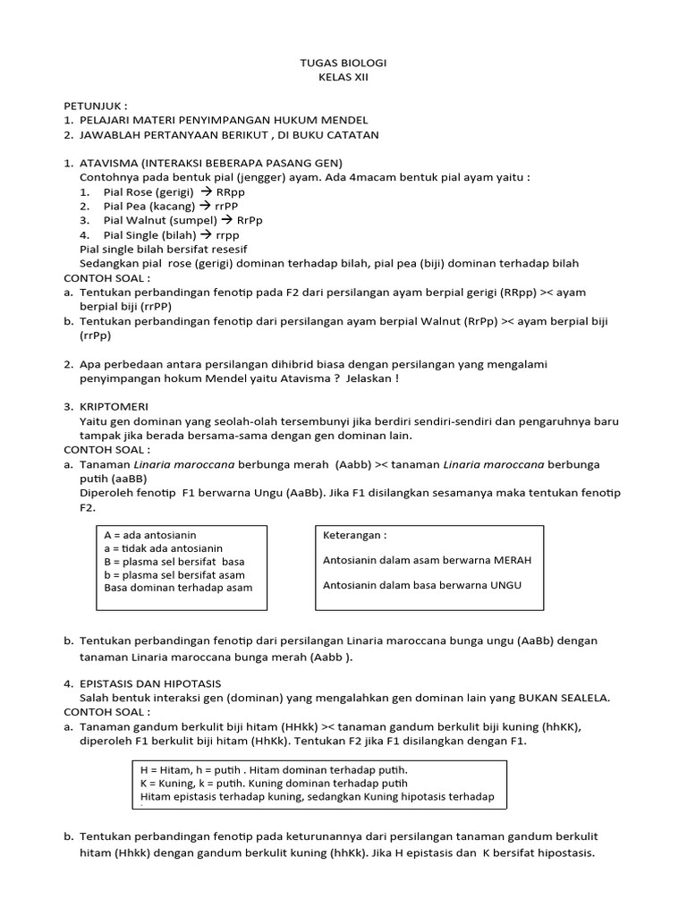 Materi P HK MENDEL | PDF