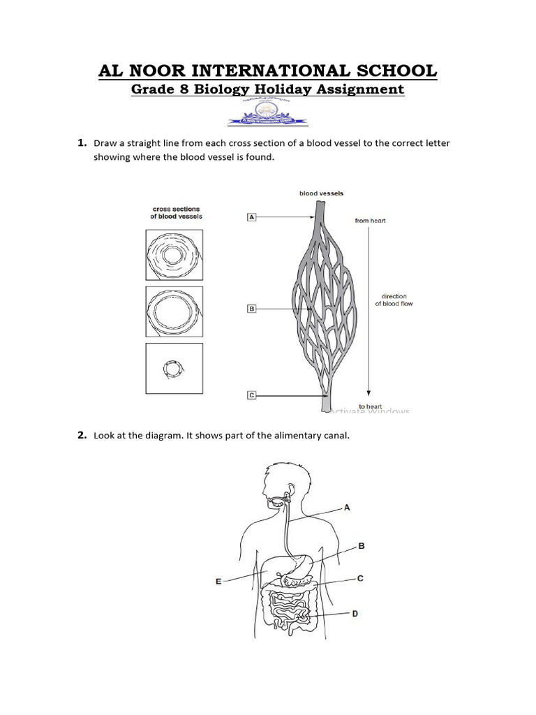 GR 8 Holiday Homework BIOLOGY | PDF | Breathing | Respiratory System