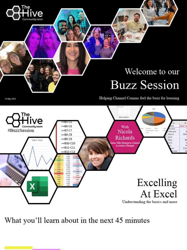 The Hive Buzz Session - Excelling at Excel | PDF