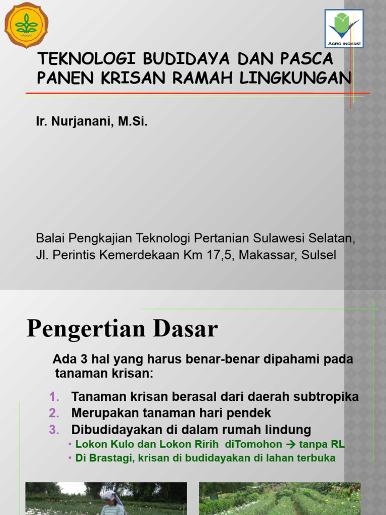 Budidaya Dan Pasca Panen Krisan | PDF