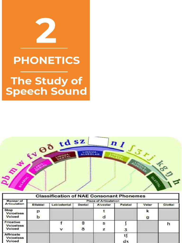 Meeting 2 Phonetics 2 | PDF | Phonetics | Human Voice