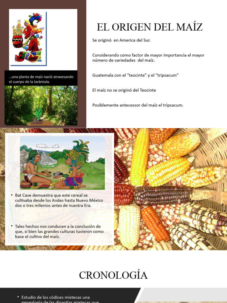 El Origen Del Maíz | PDF