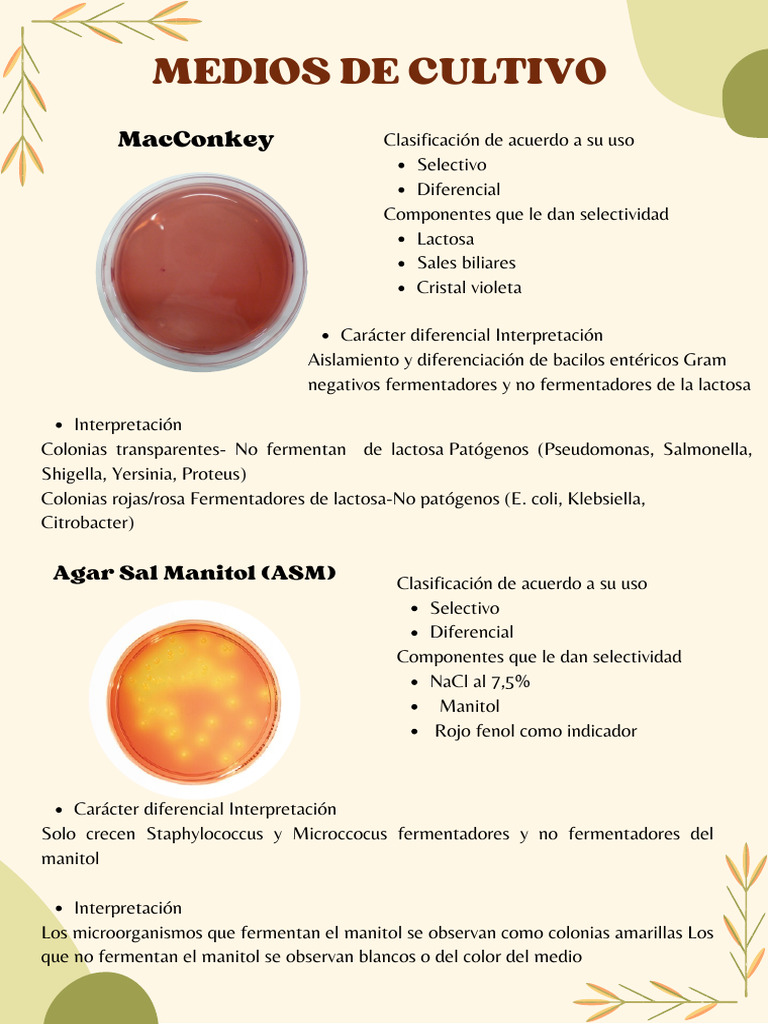 Medios de Cultivo | PDF | Microbiología | Microscopía