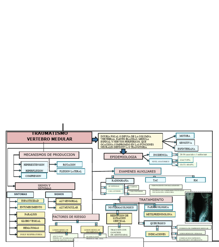 VERTEBROMEDULAR | PDF | Médula espinal | Lesión de la médula espinal