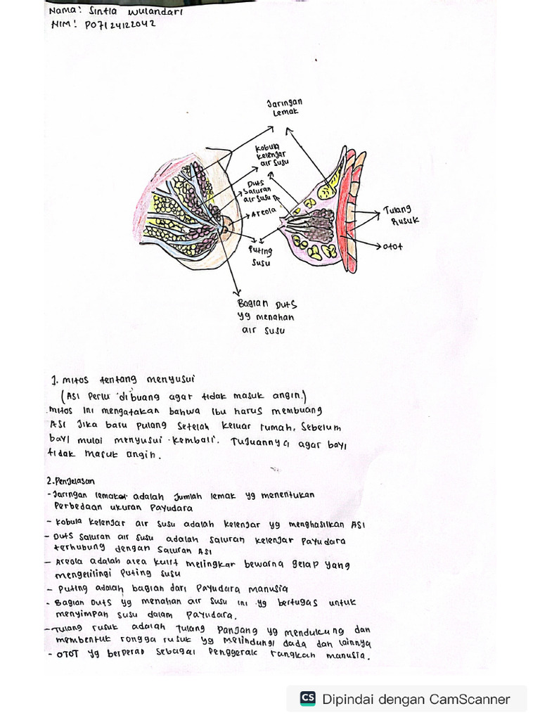 Tugas Askeb Nifas Dan Menyusui | PDF Tugas Askeb Nifas Dan Menyusui | PDF