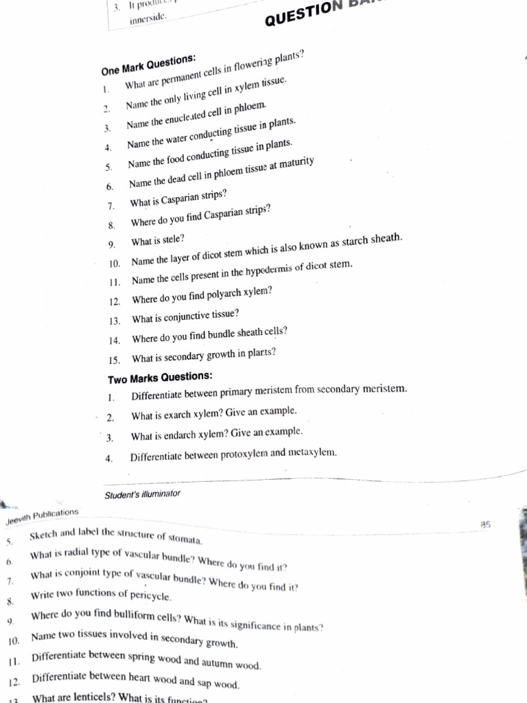 Anatomy of Flowering Plants | PDF | Plant Stem | Tissue (Biology)