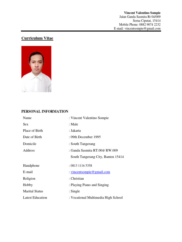 CV Vincent Valentino | PDF