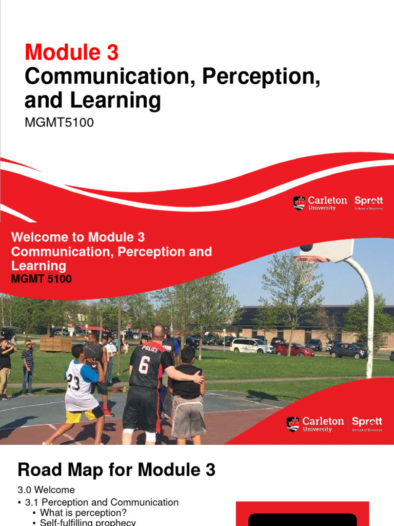 Weel 3 - Module 3.1 Perception | PDF | Perception | Bias