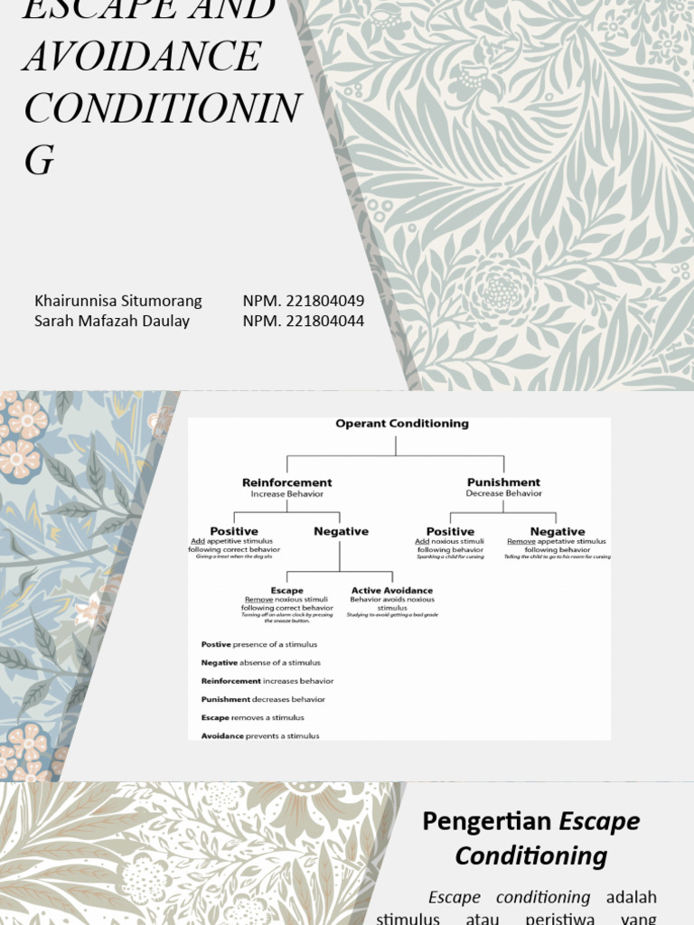 Escape and Avoidance Conditoning | PDF