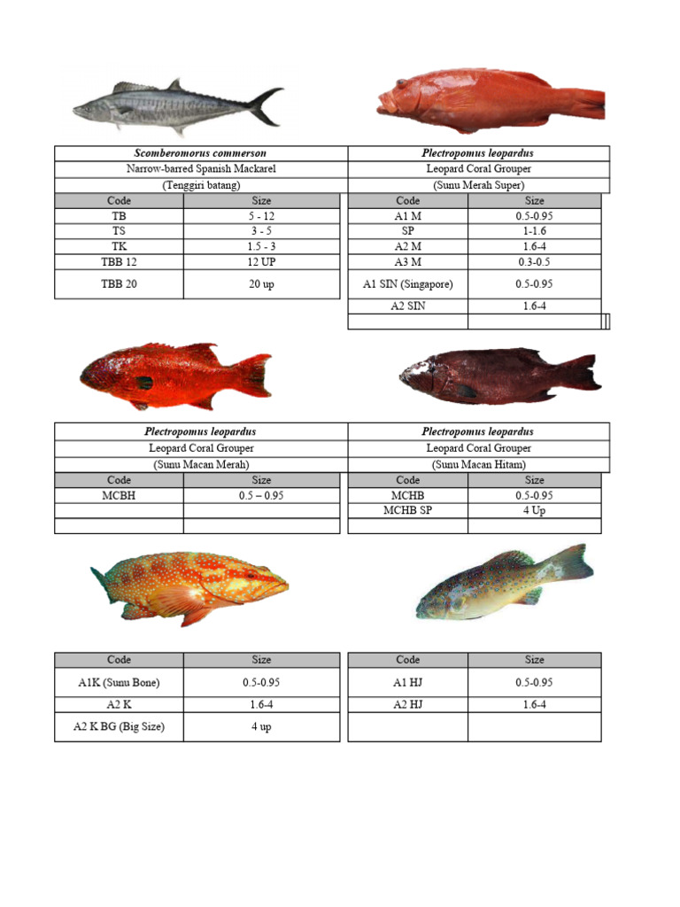 Katalog Ikan Tanpa Harga | PDF | Fish | Aquatic Animals