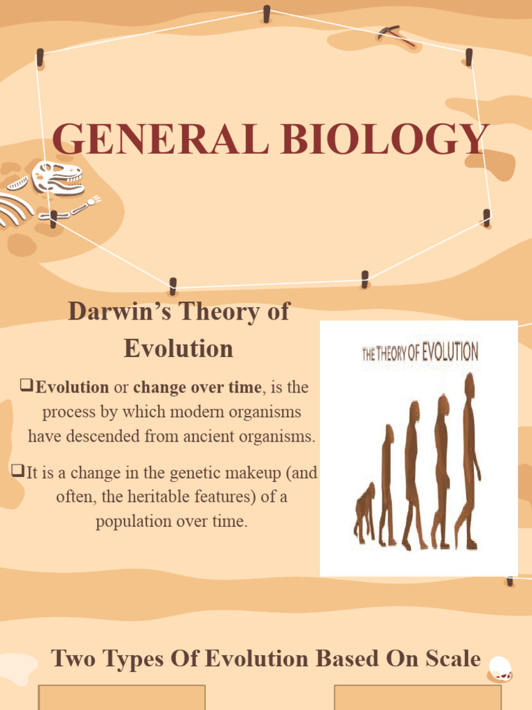 Evolution | PDF | Evolution | Natural Selection