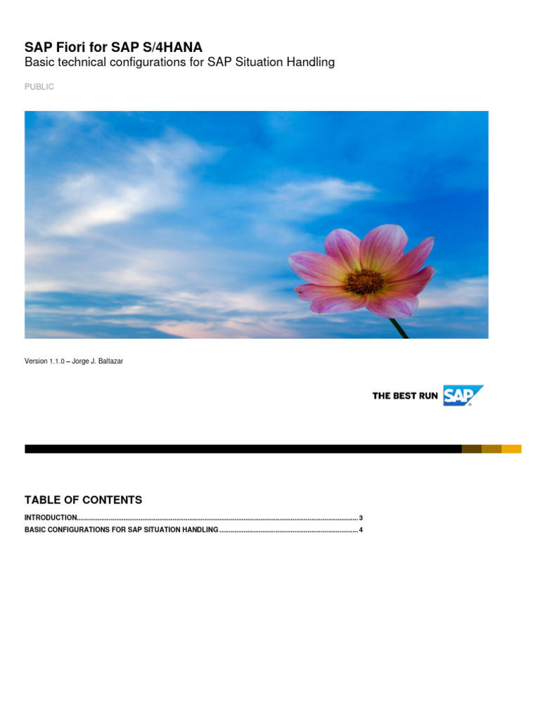 Basic technical configurations for SAP Situation Handling in SAP S ...