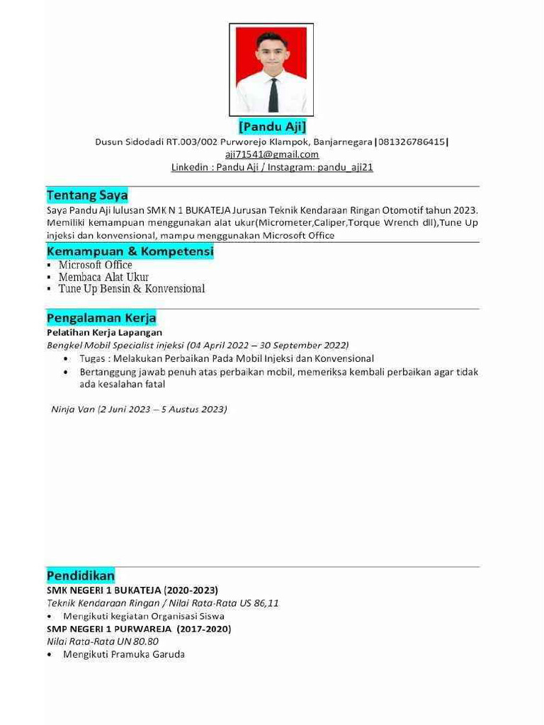 CV & Lampiran Pandu Aji | PDF